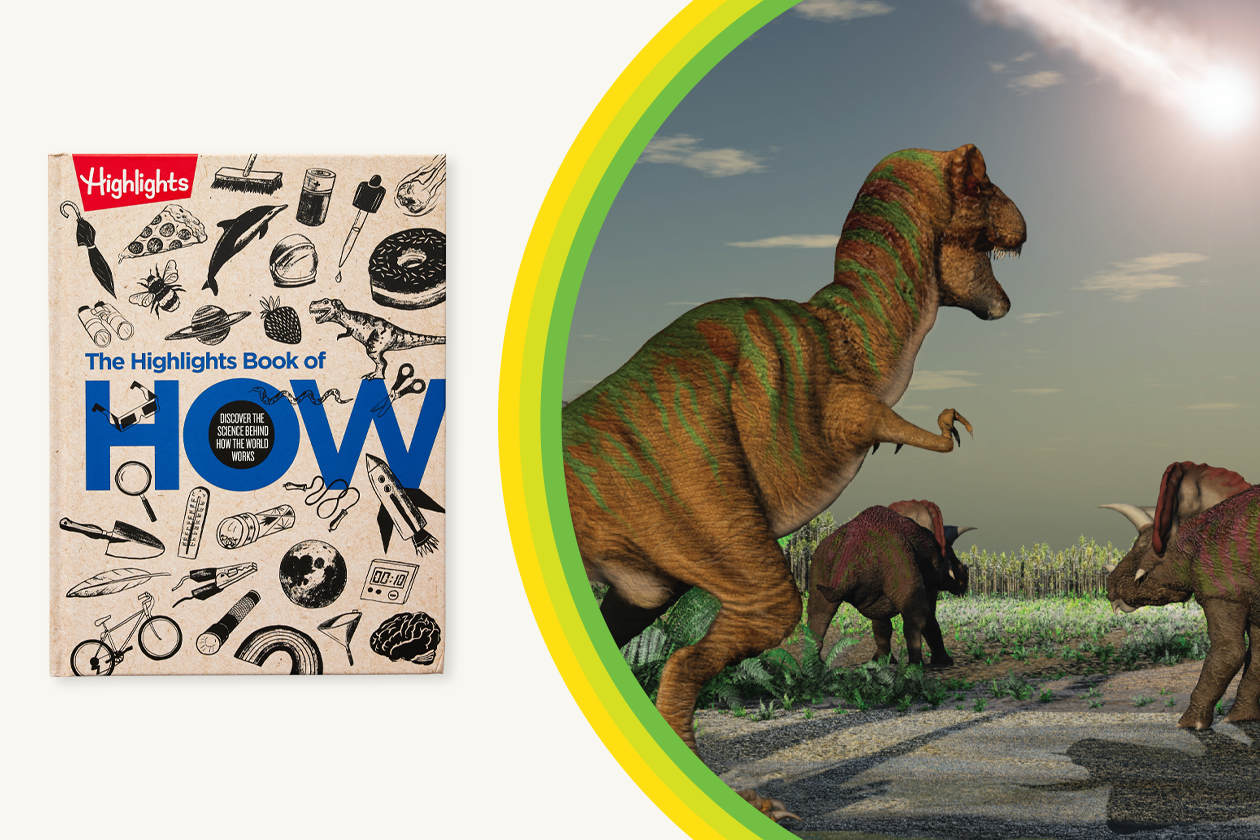 "Book of How" Excerpt: How Did The Dinosaurs Go Extinct? | Highlights ...